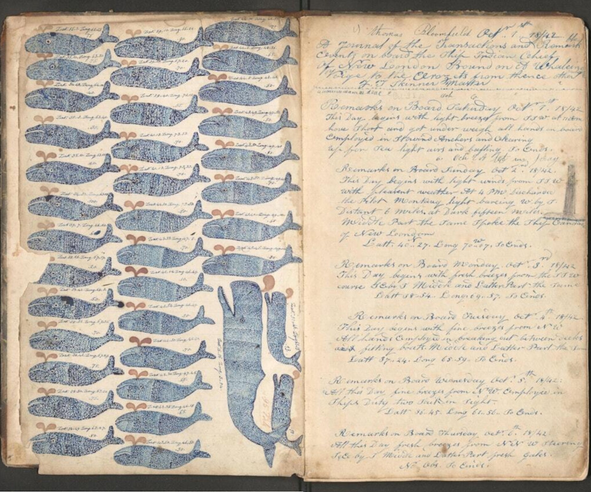 What is the Blue Economy? | Cape Cod Blue Economy Foundation, Inc.